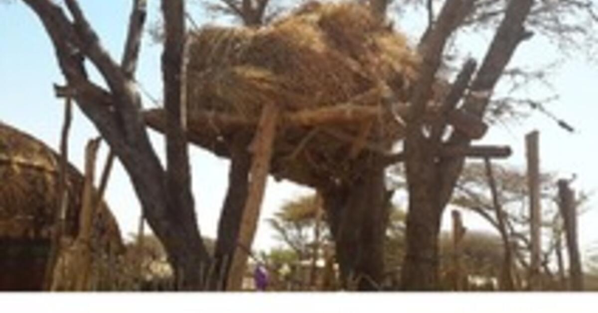 Kenya Accelerated Value Chain Development Program (AVCD)-livestock ...