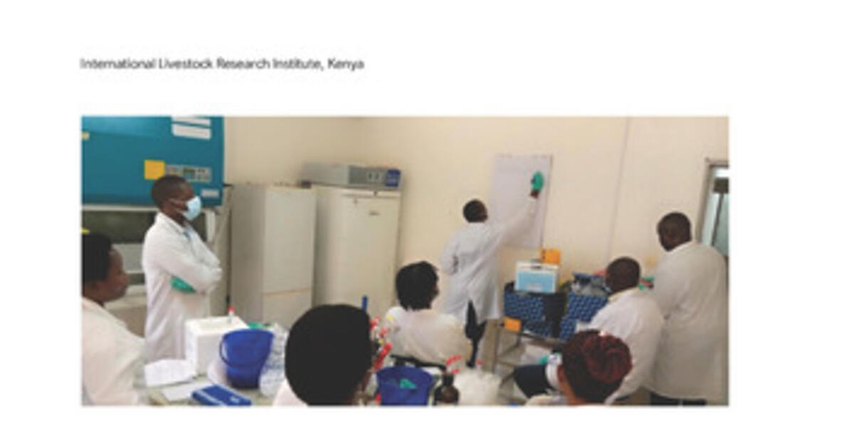 Burundi Rift Valley fever virus diagnostics training report