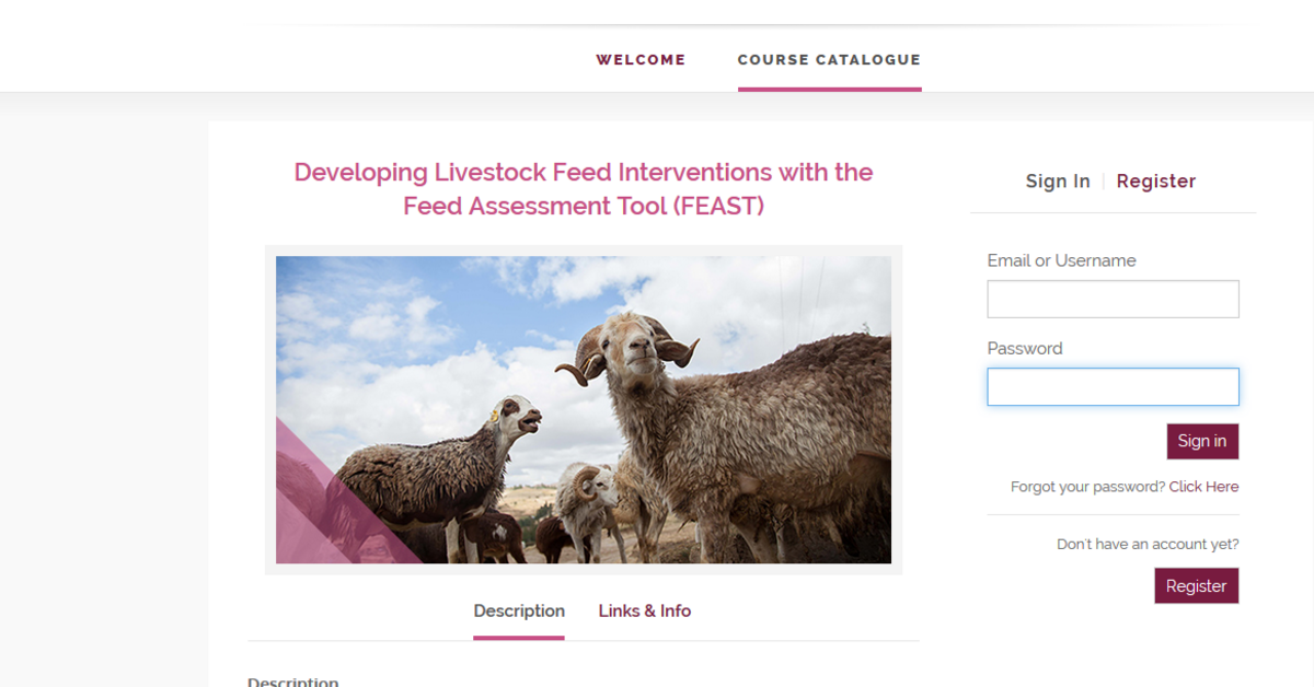 Developing livestock feed interventions with the feed assessment tool ...