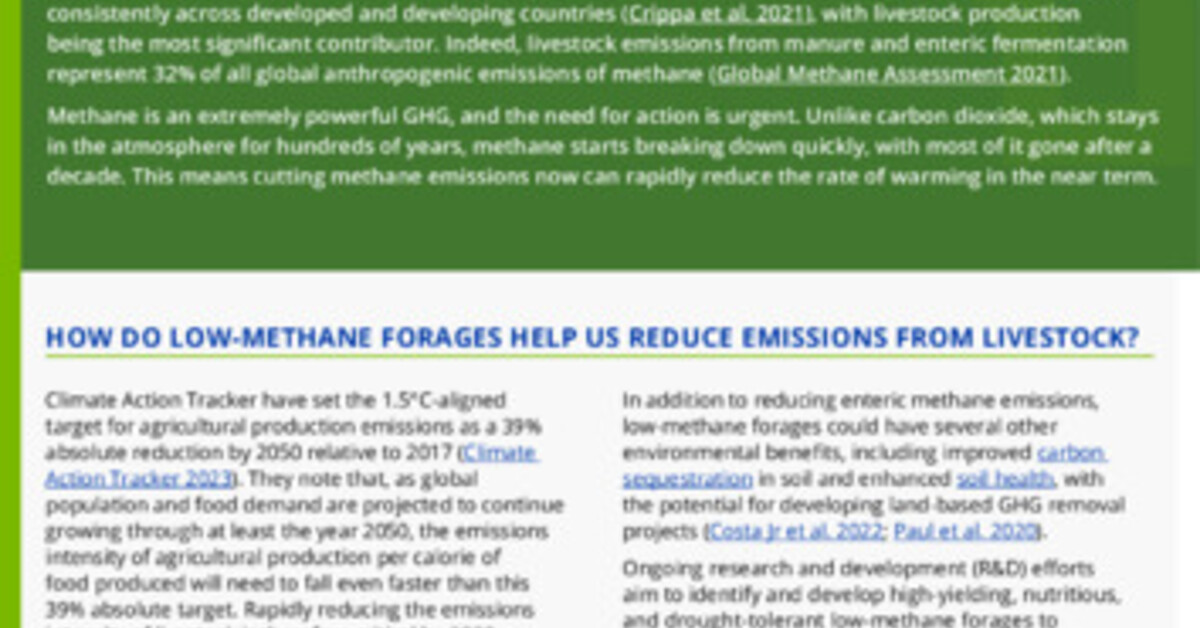 Reducing enteric methane emissions via low-methane forages