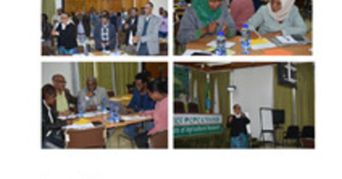 ILRI/CGIAR and EIAR partnering together―Experience sharing workshop