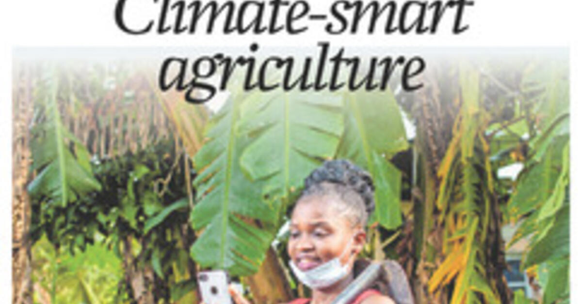 What about livestock? Here’s how Kenya and ILRI are building climate ...