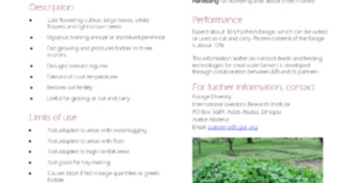 Lablab (Lablab purpureus cultivar Rongai) for livestock feed on small ...