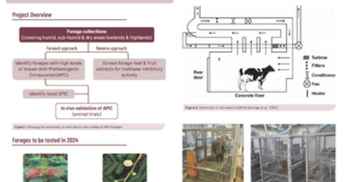 In-vivo Validation of Anti-Methanogenic Compounds under Low Methane ...