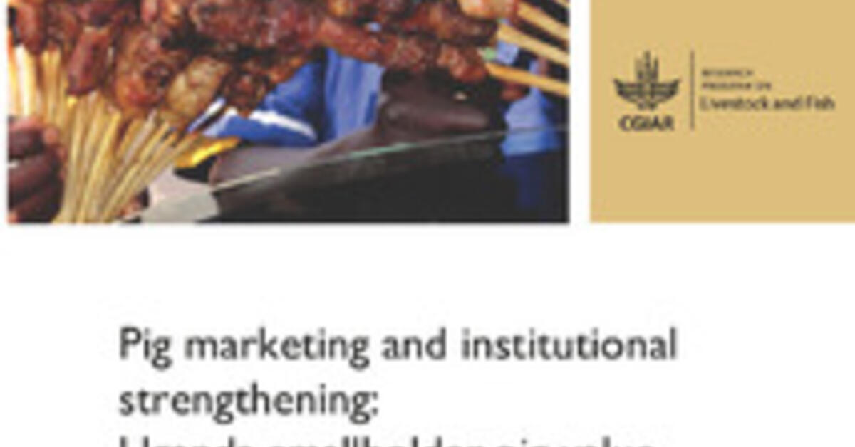 Pig marketing and institutional strengthening: Uganda smallholder pig ...