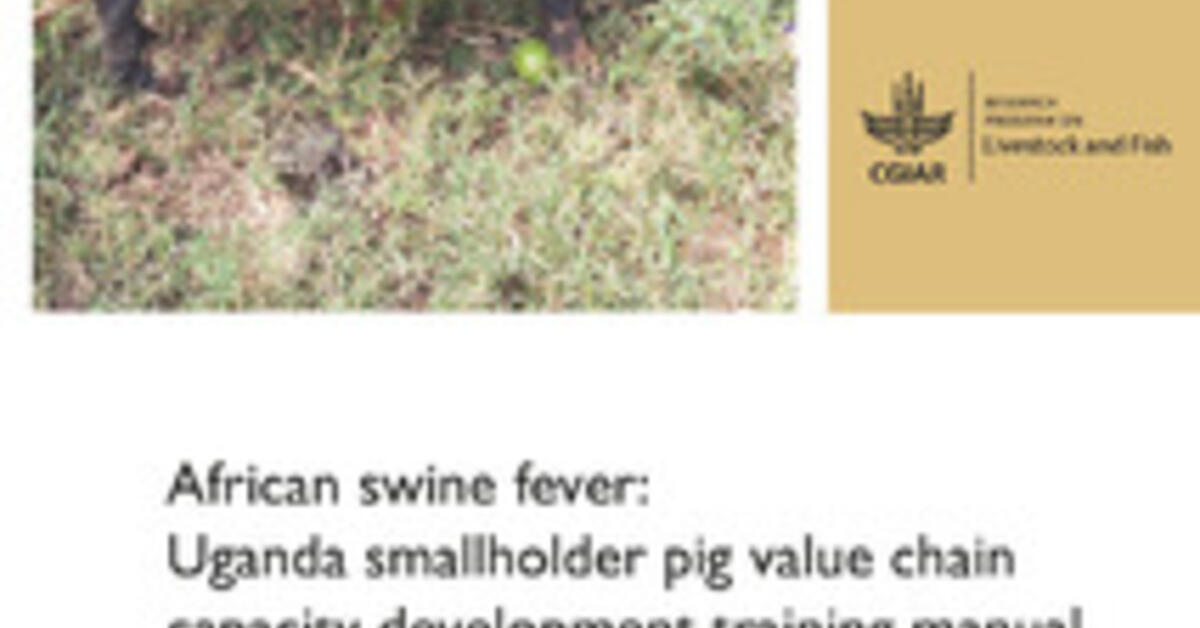 African swine fever: Uganda smallholder pig value chain capacity ...
