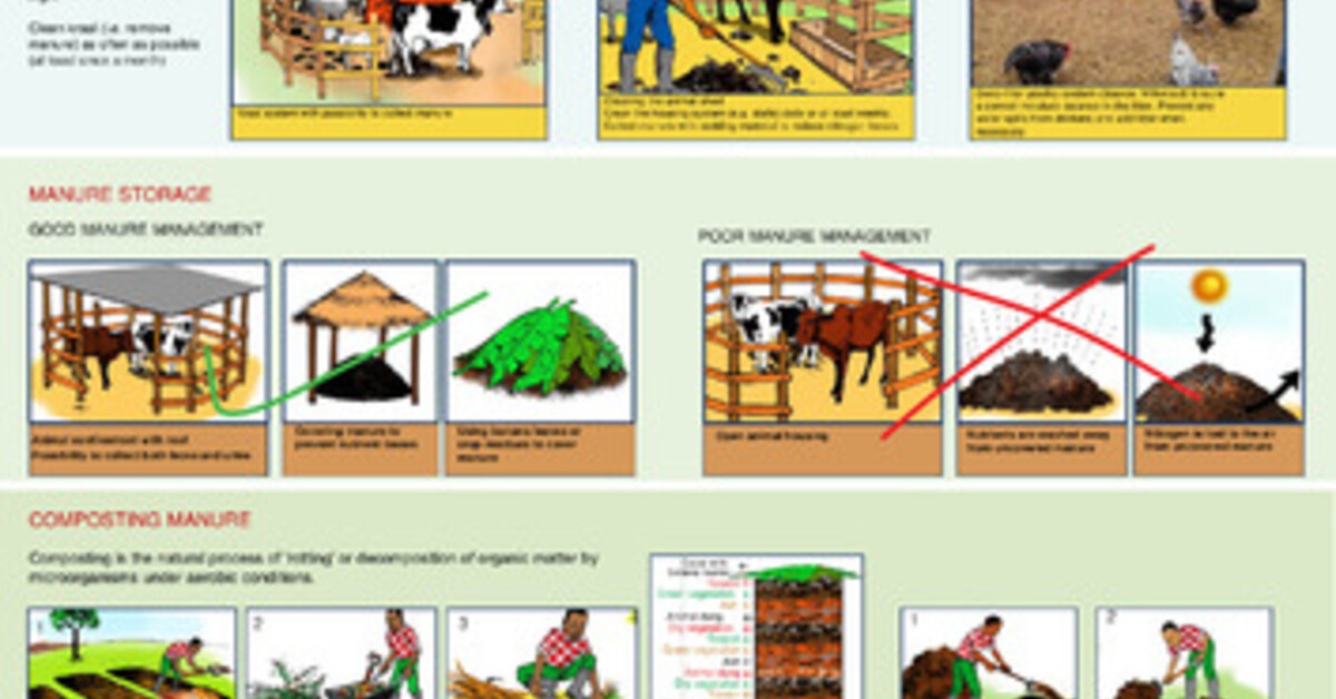 Manure management to improve soil structure and food security and ...