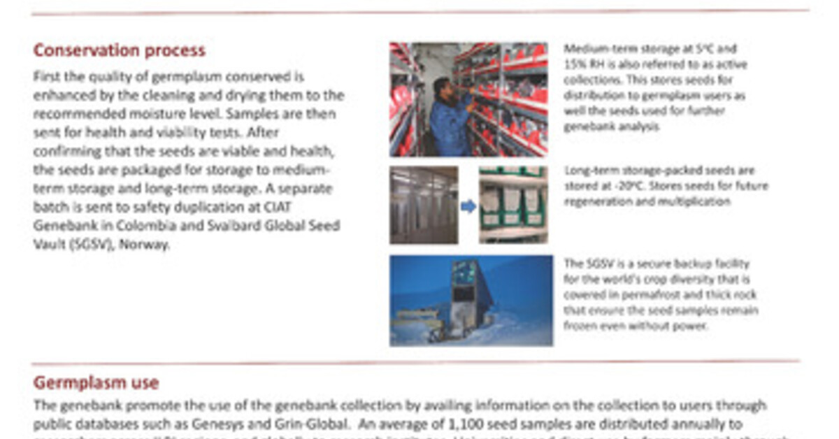 ILRI Forage Genebank: Germplasm conservation and distribution