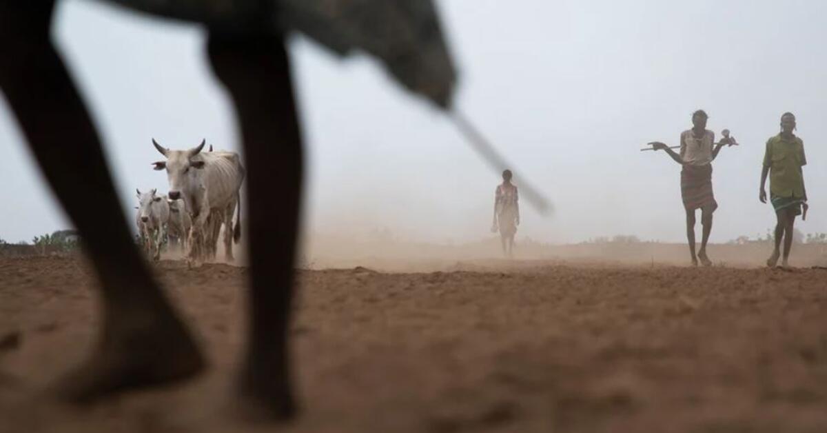 Drought: We know what to do, why don't we do it?