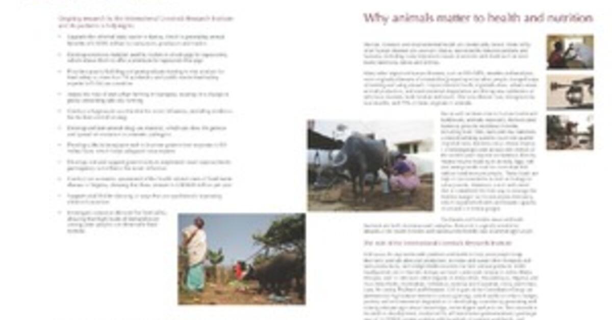Why animals matter to health and nutrition