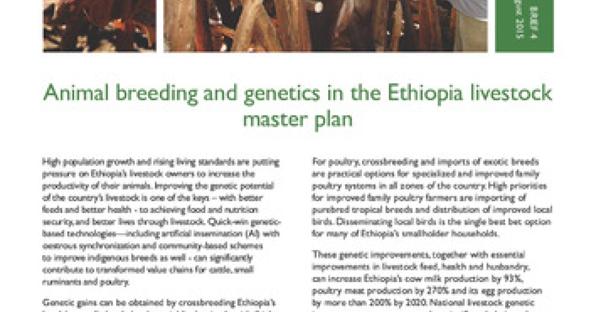 Animal breeding and genetics in the Ethiopia livestock master plan