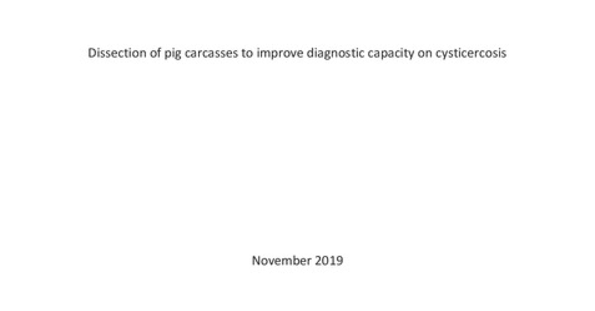 Dissection of pig carcasses to improve diagnostic capacity on cysticercosis