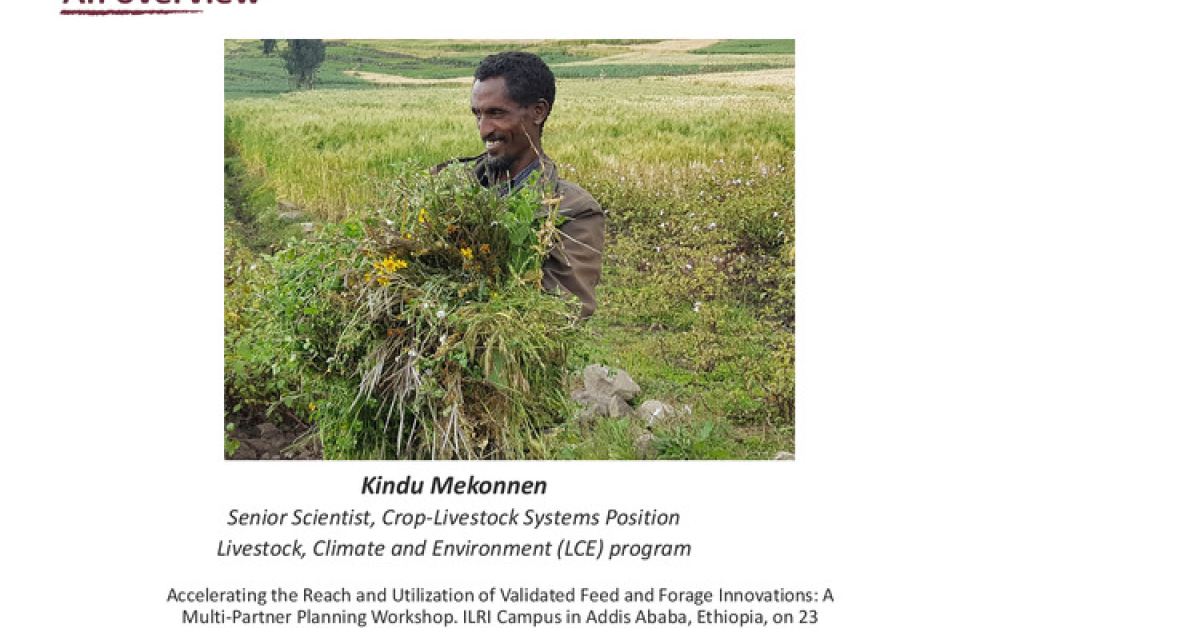 Research and scaling of livestock feed and forage innovations: An overview