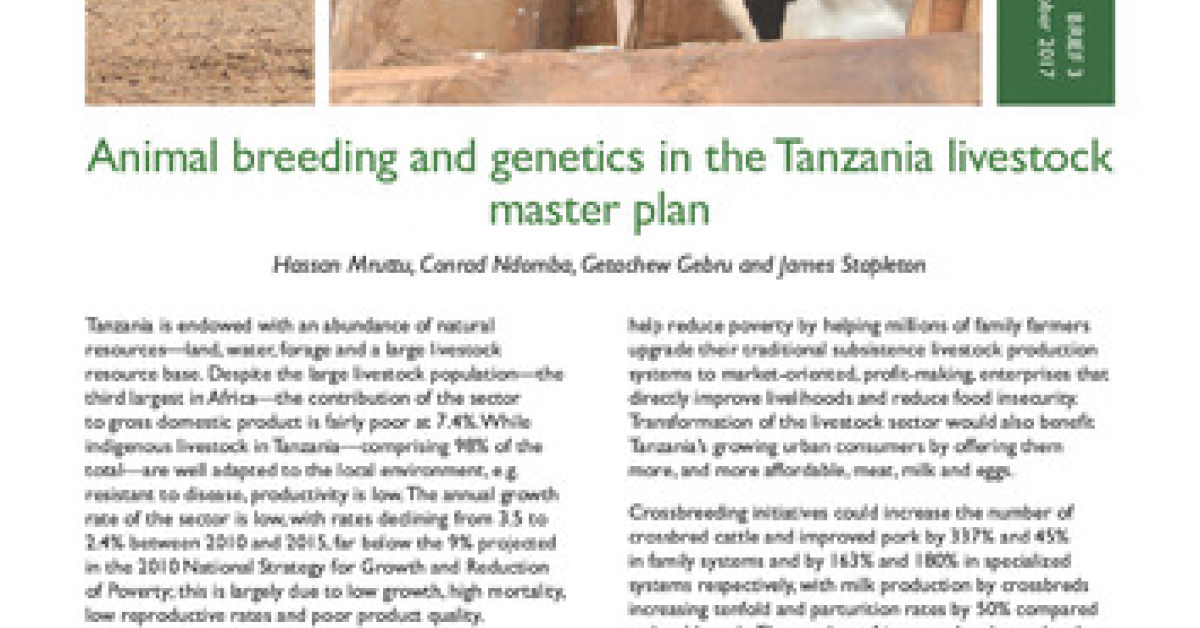 Animal breeding and genetics in the Tanzania livestock master plan