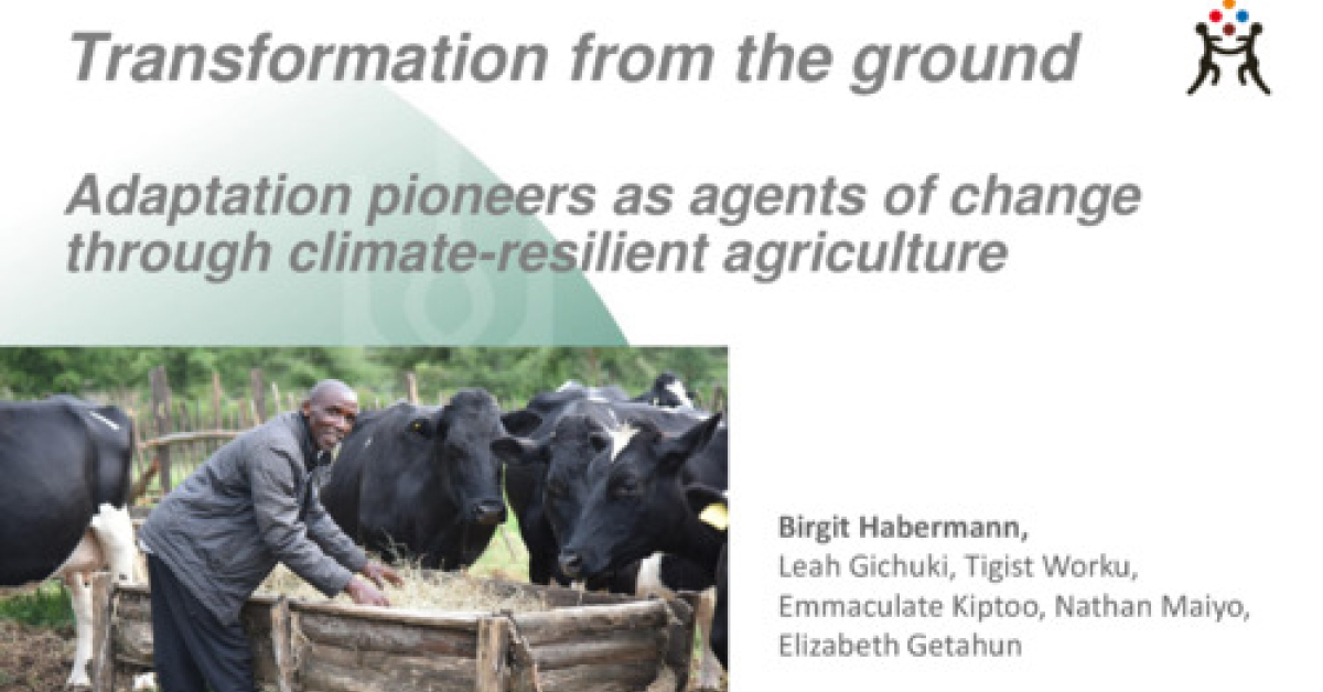 Transformation from the ground: Adaptation pioneers as agents of change ...