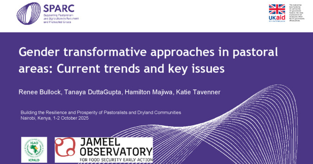 Gender transformative approaches in pastoral areas: Current trends and ...