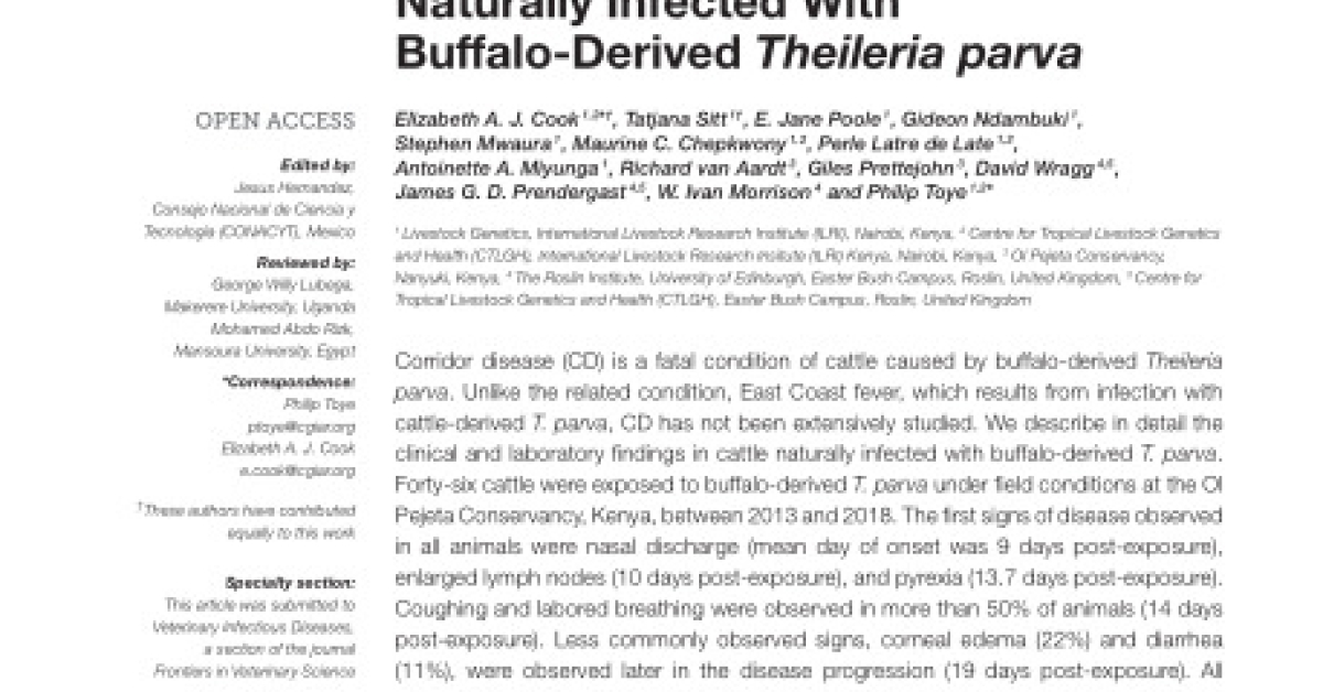 Clinical evaluation of corridor disease in Bos indicus (Boran) cattle ...