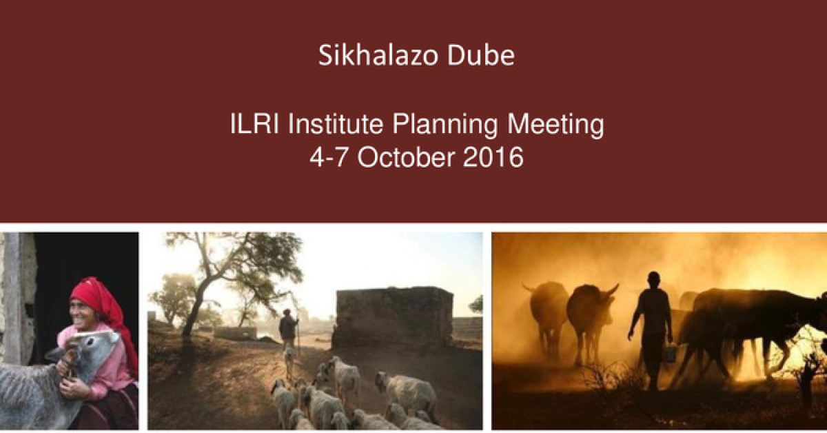 Update on ILRI in Southern Africa