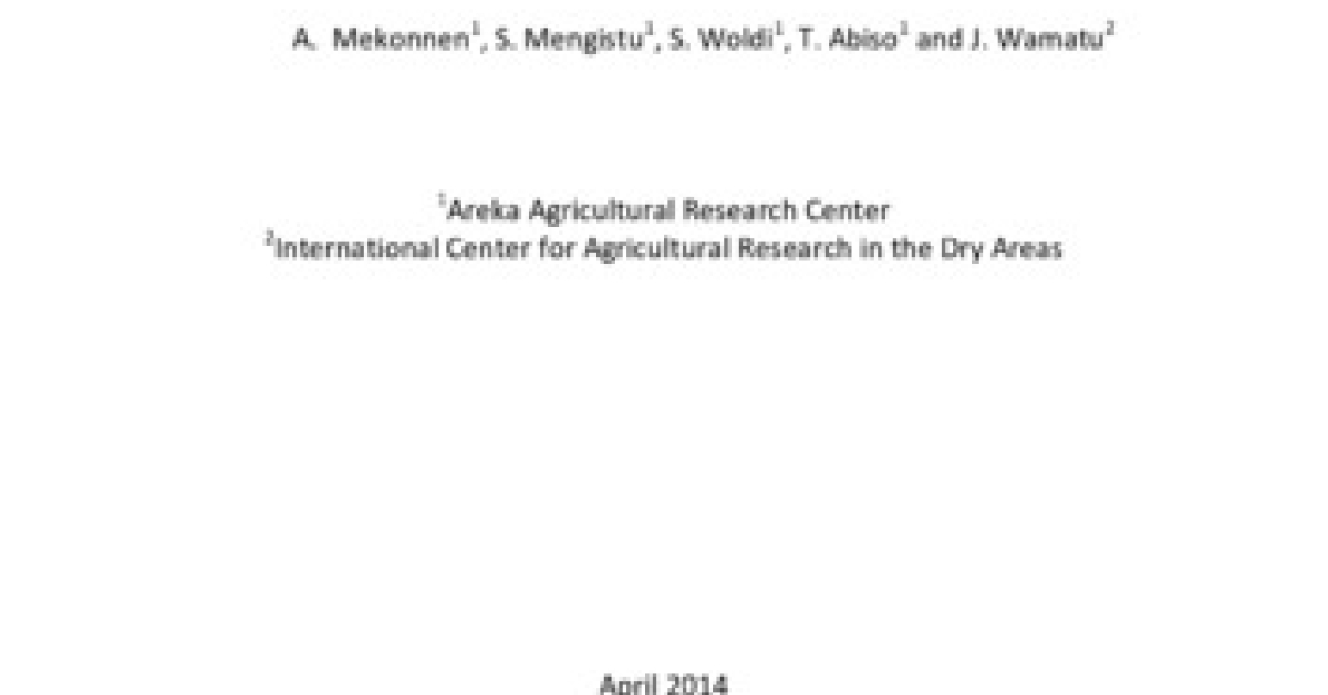 Using the Techfit tool to prioritize feed technologies in Bekafa ...
