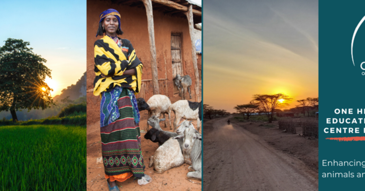 One Health Centre in Africa
