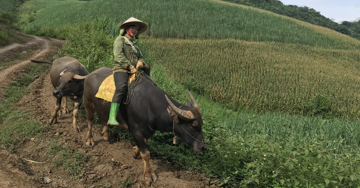 Creating equitable and sustainable livelihoods in the northwest ...